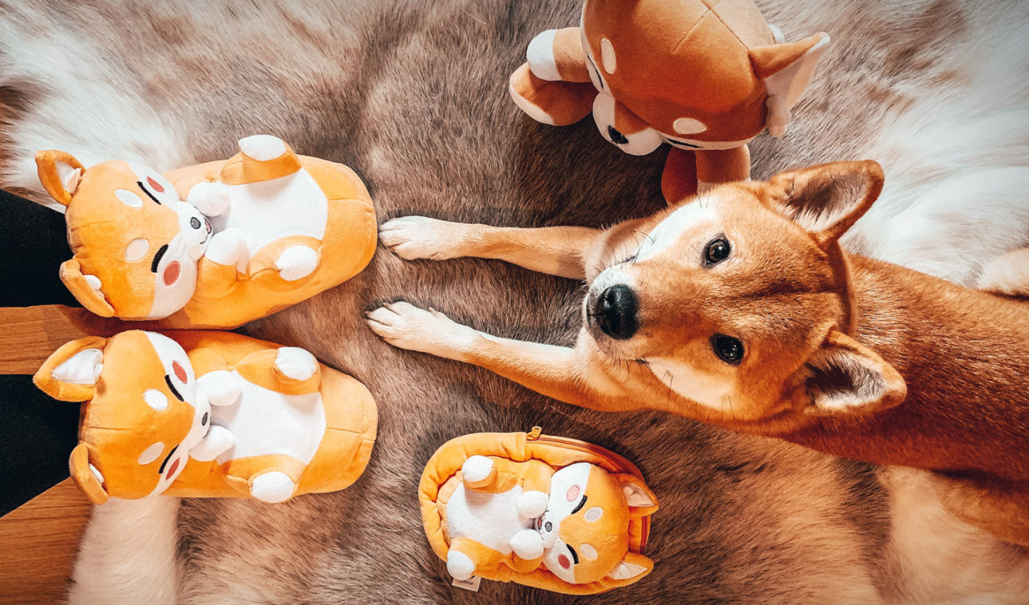 Offizieller Corimori Online Shop